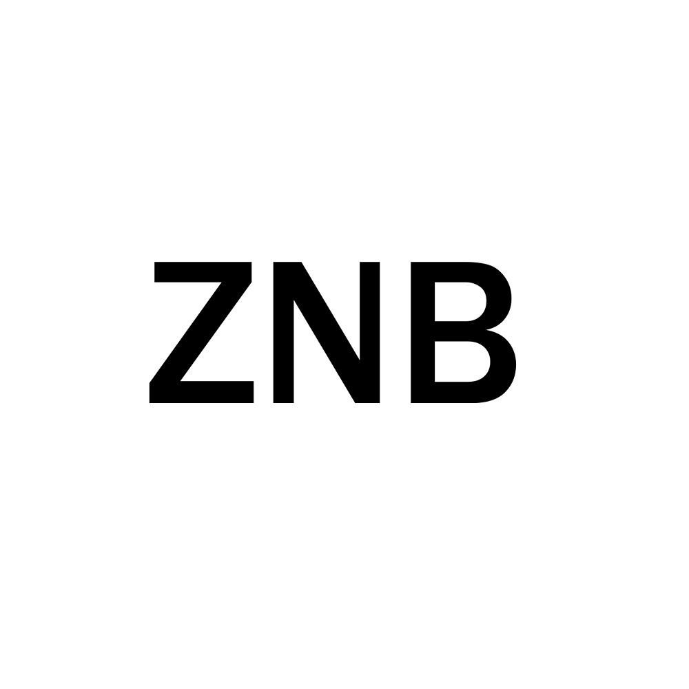 ZNB商标购买|第25类服装鞋帽类商标转让-猪八戒商标交易市场